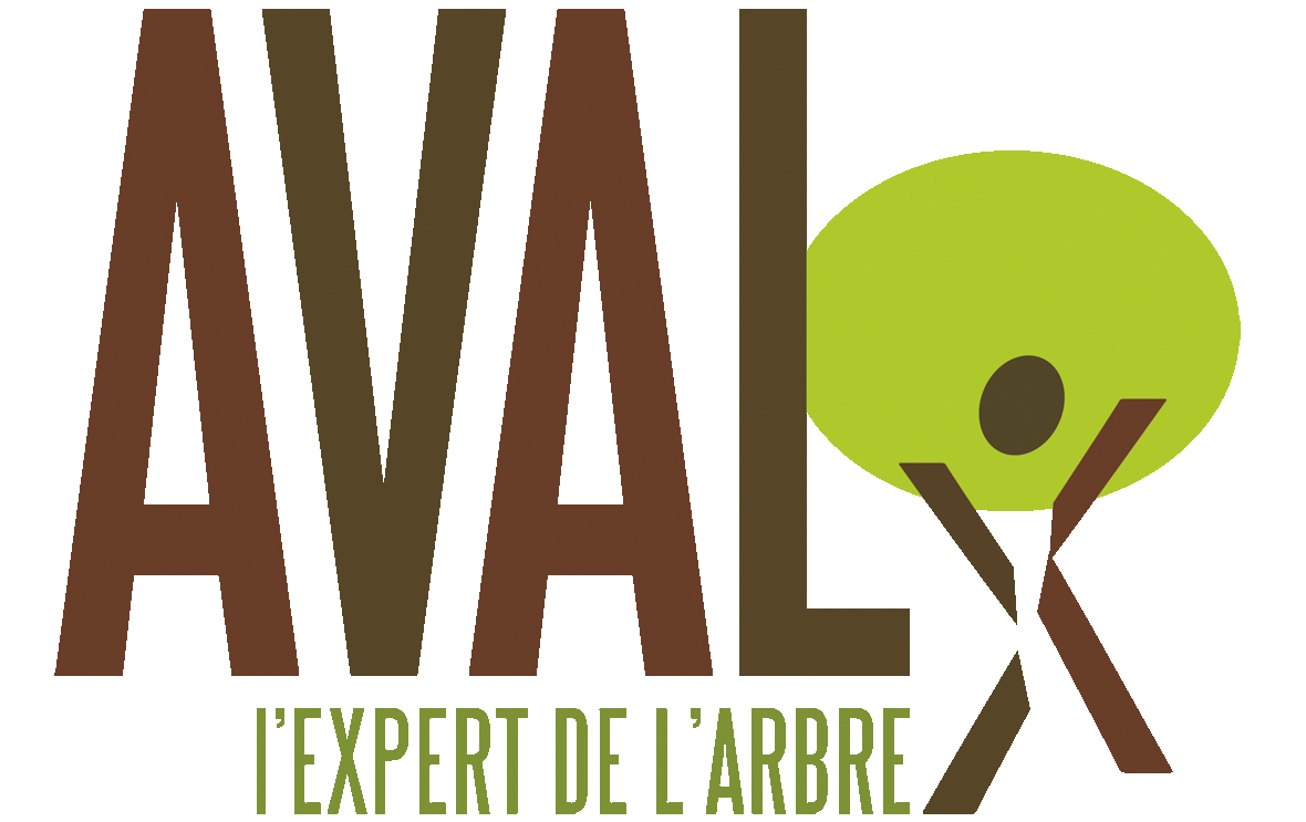 AVAL